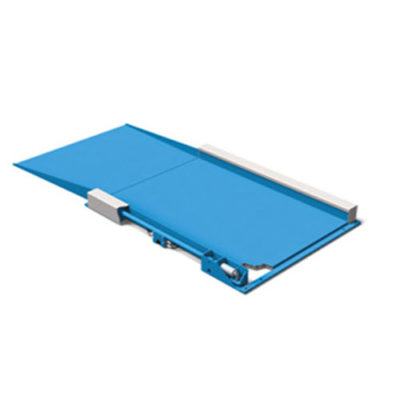 BSI Scales | Quality Commercial Weighing Equipment and Service